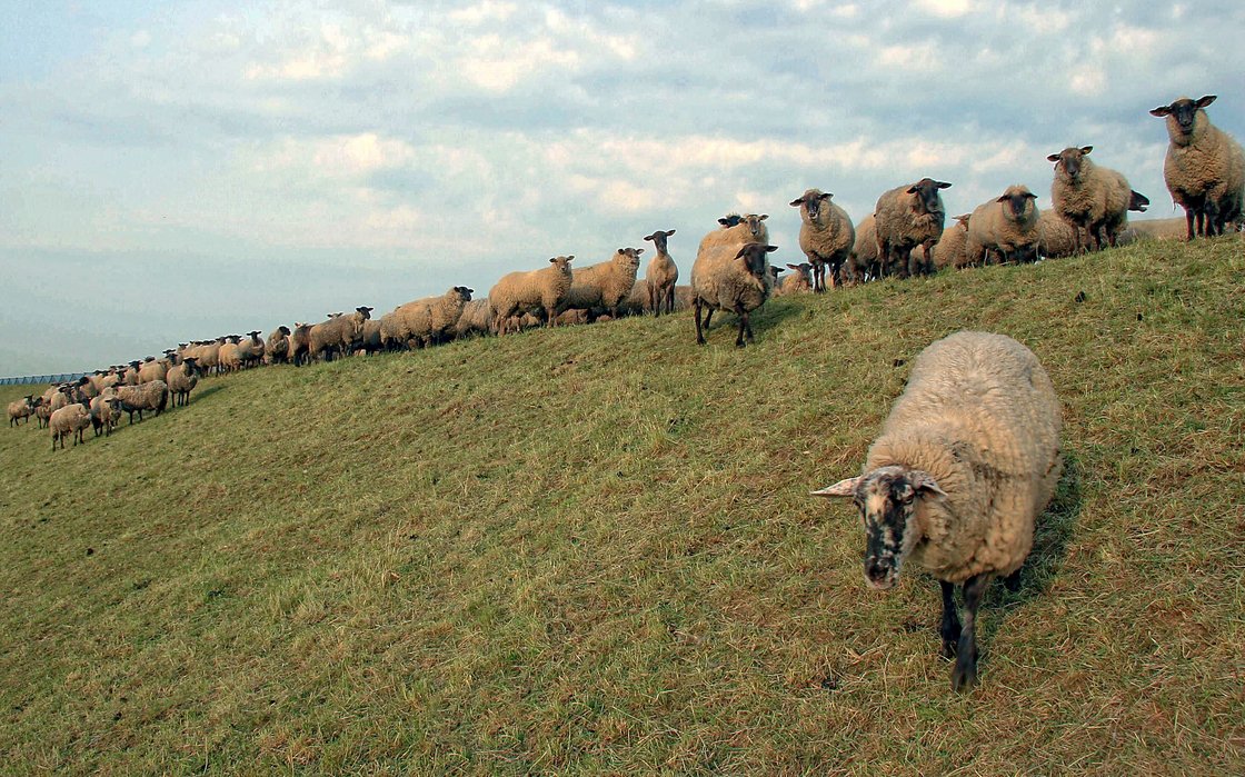 Fotobond | Afdeling Limburg